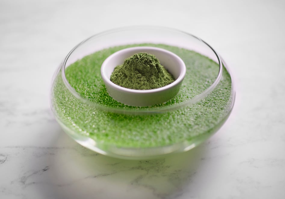 Summer Spotlight Series: Natalie Van Unen